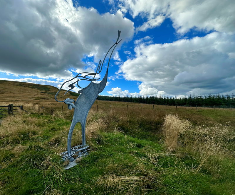 Redesdale Goat In Catcleugh - Fabulous North